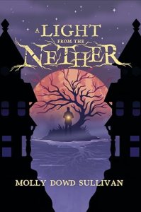 New Book Release: A Light From the Nether by Molly Dowd Sullivan ...